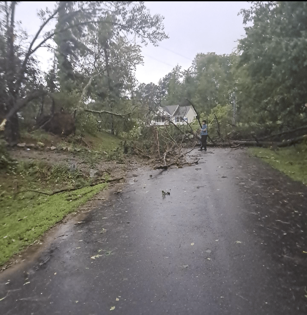 Tropical Storm Debby: Impact, Safety Tips, and Dining on Anna Maria ...